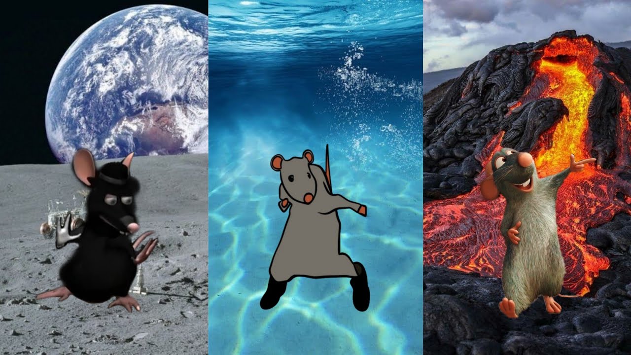Rat dance - on the moon, in the sky, under water - YouTube