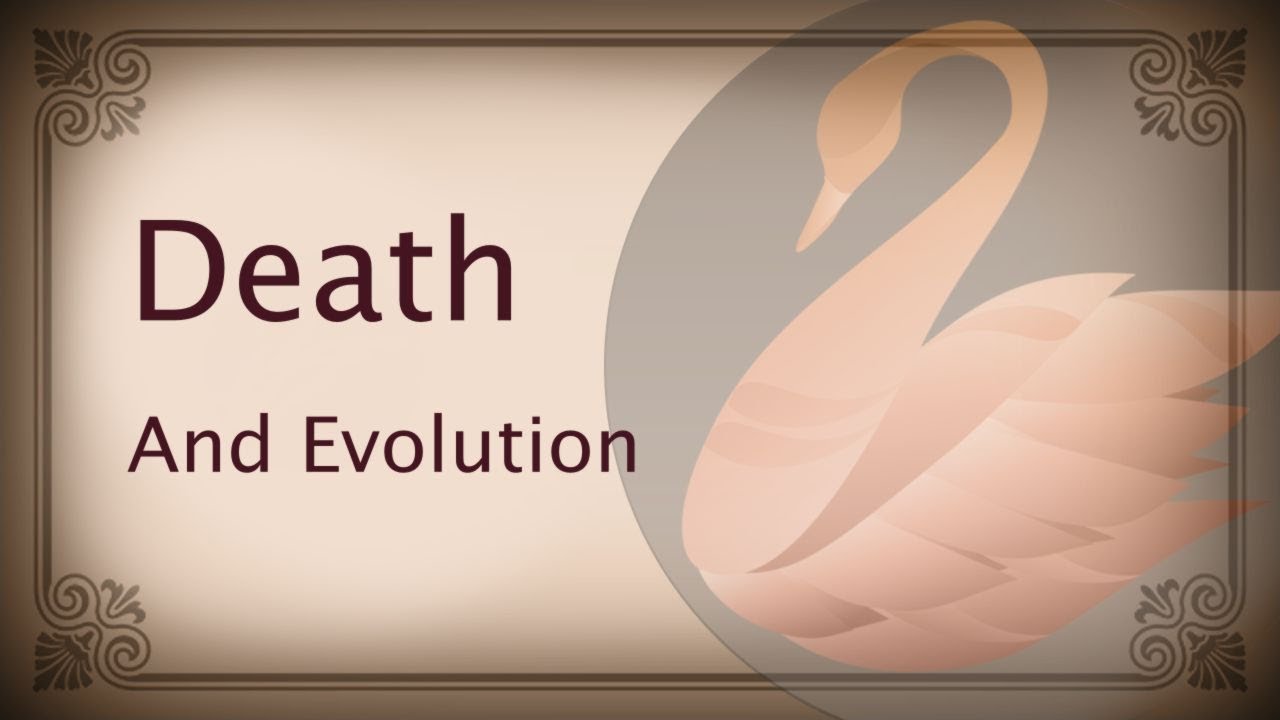 Death, Evolution - YouTube