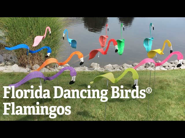 Pvc Dancing Birds