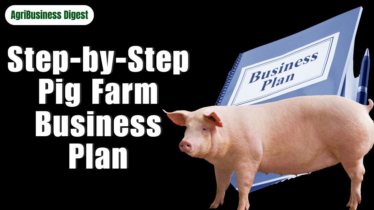 How to Write a Winning & Low Budget Pig Farm Business Plan - YouTube