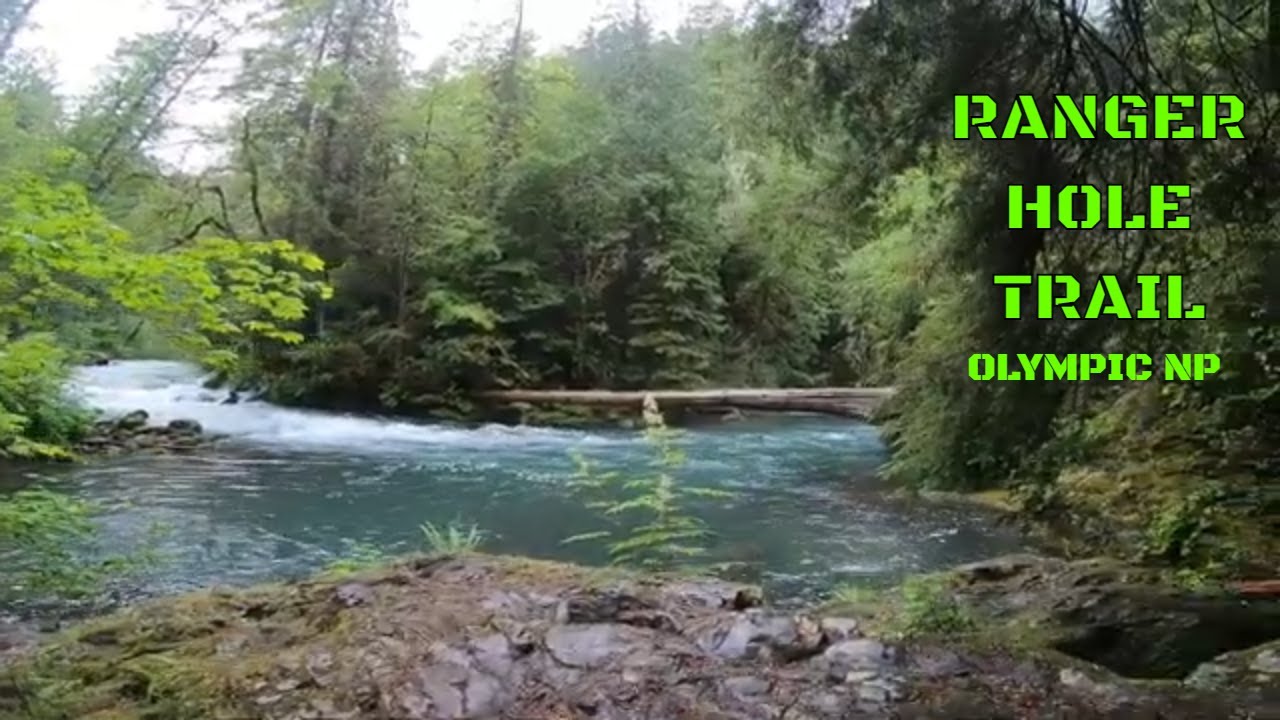 RANGER HOLE TRAIL | OLYMPIC NATIONAL FOREST | BRINNON, WASHINGTON | 4K ...