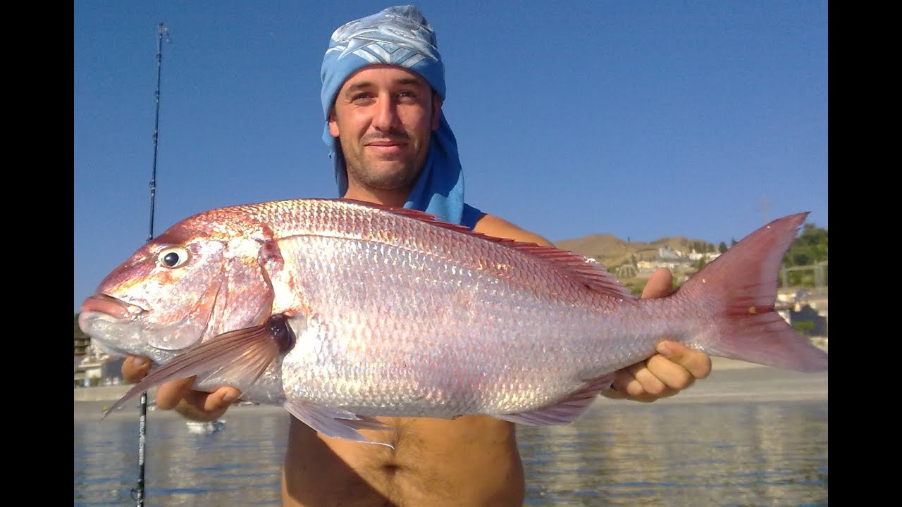 ULTIMO PAURO 2012 CHE COLPO DI CULO ! TEAM FISHING IN ROCK DENTICE ...