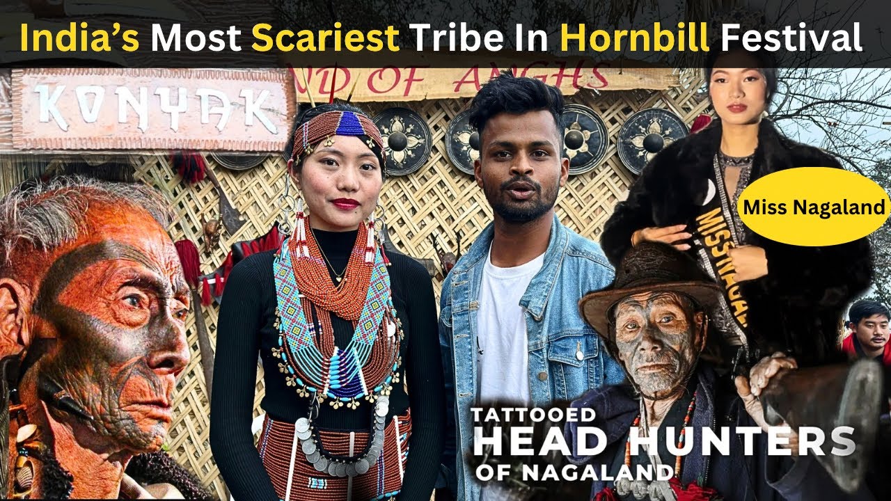 Head Hunters Of Nagaland In Hornbill Festival 2024 | Most Popular Tribe ...
