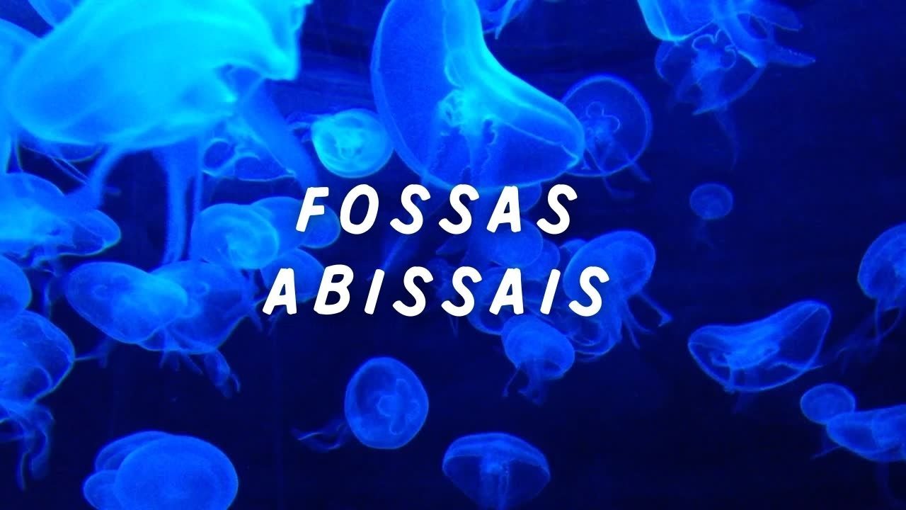 Fossas Abissais - YouTube