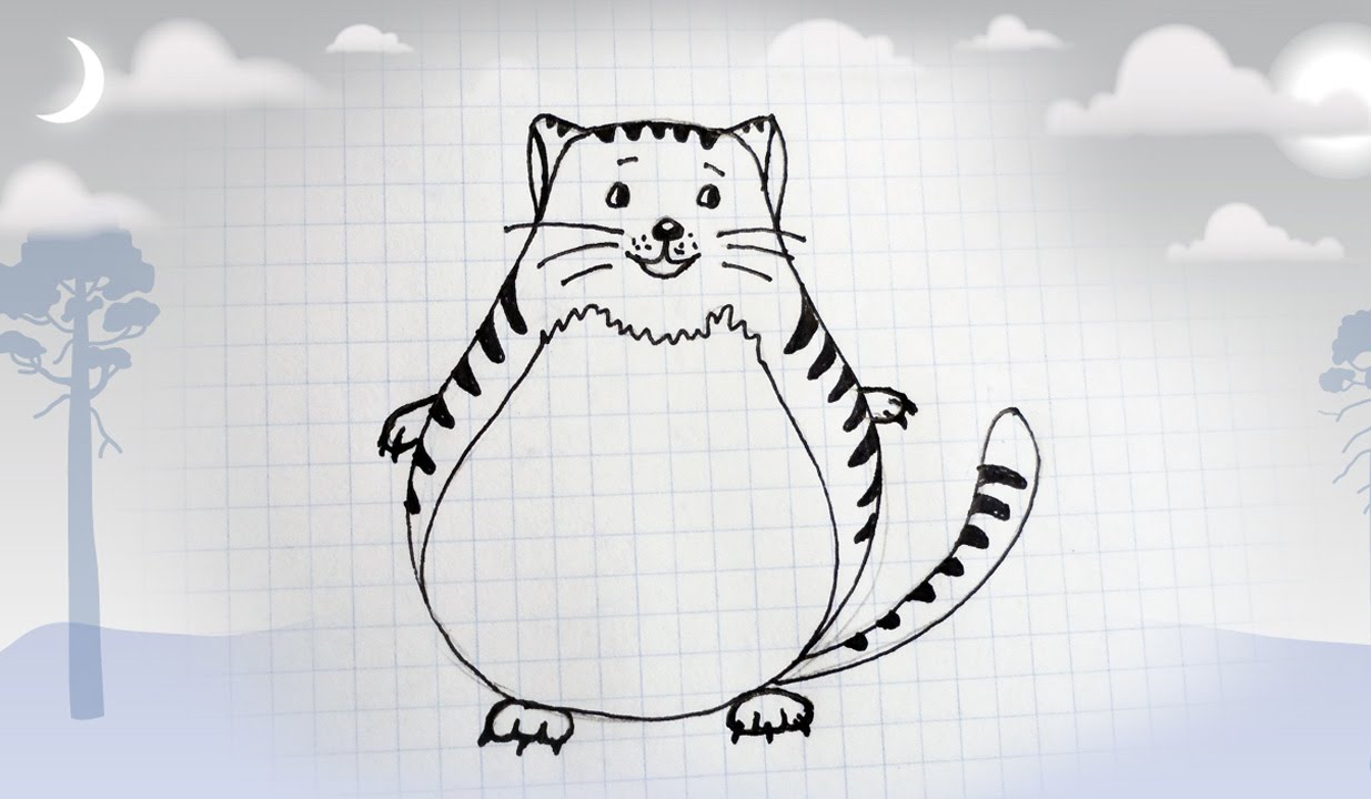 How to Draw a hilarious chubby Cat - YouTube
