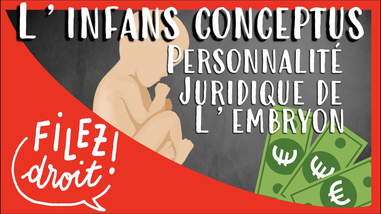Application du principe d'Infans conceptus (Cass civ. 1ère, 10 décembre ...