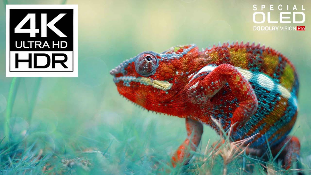 Stunning 8K / 12K HDR Demo – OLED & QLED TV Test - YouTube