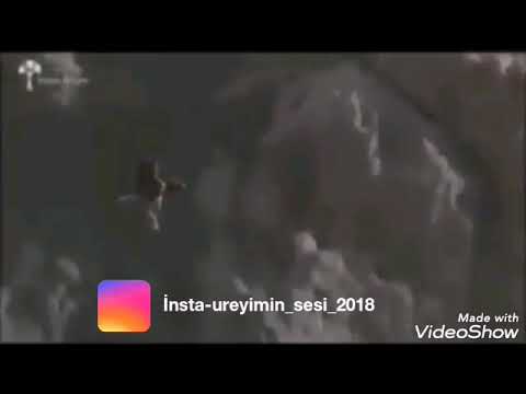 APAR QARABAGI DOLANDIR GƏTİR