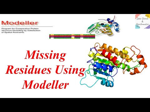 Filling Missing Residue in PDB Structure Using Modeller | Homology Modelling  | Bioinformatics