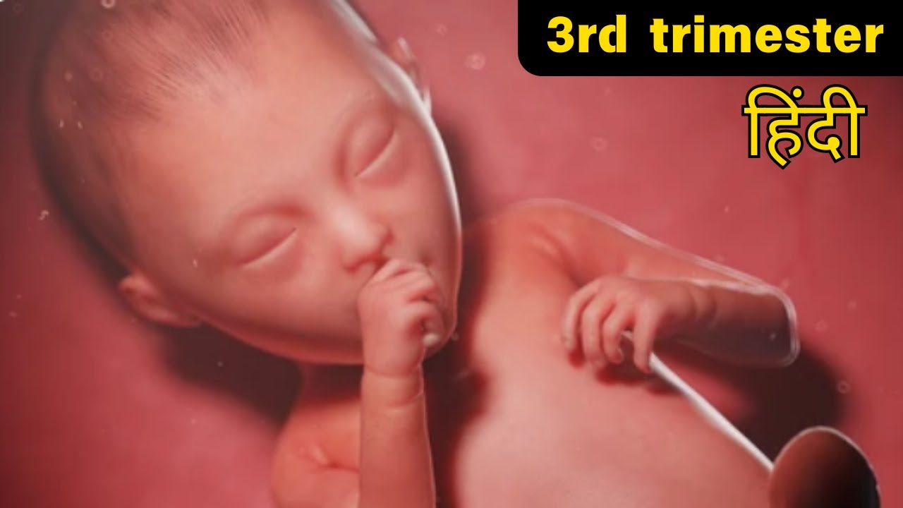 pregnancy 3rd trimester, pregnancy 3rd trimester animation - YouTube
