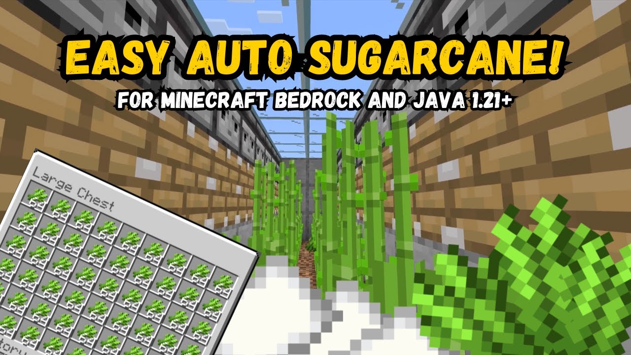How to Build a SUPER Efficient Sugarcane Farm in Minecraft 1.21 ...