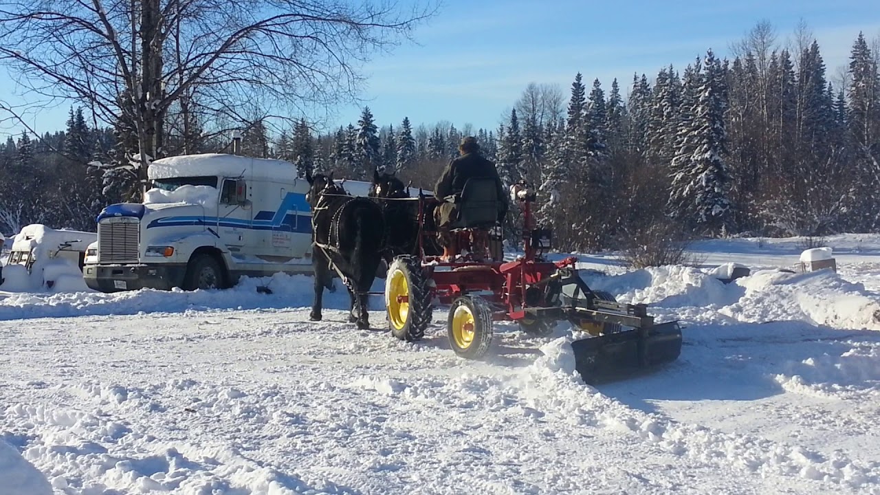 Plowing snow with horses, using I & J forecart and 3point hitch dolly ...