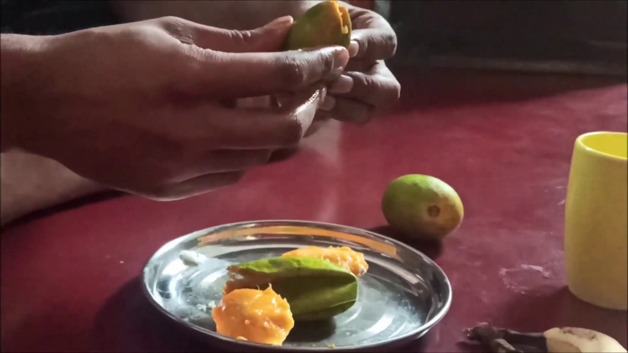 Chusni Mangoes Fun in Summers - YouTube