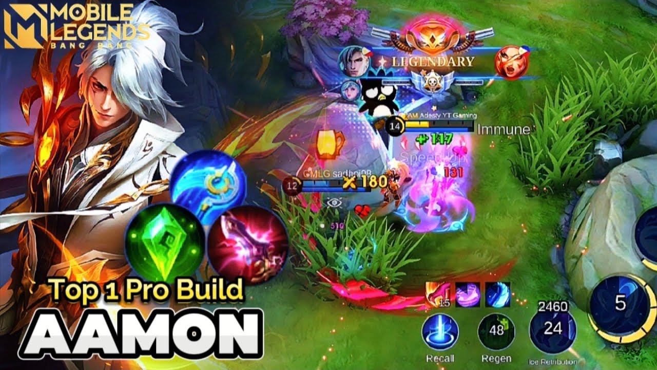 My enemy tried to invade my buffs, and this happened. Aamon Gameplay Mobile Legends - Pro Build ...