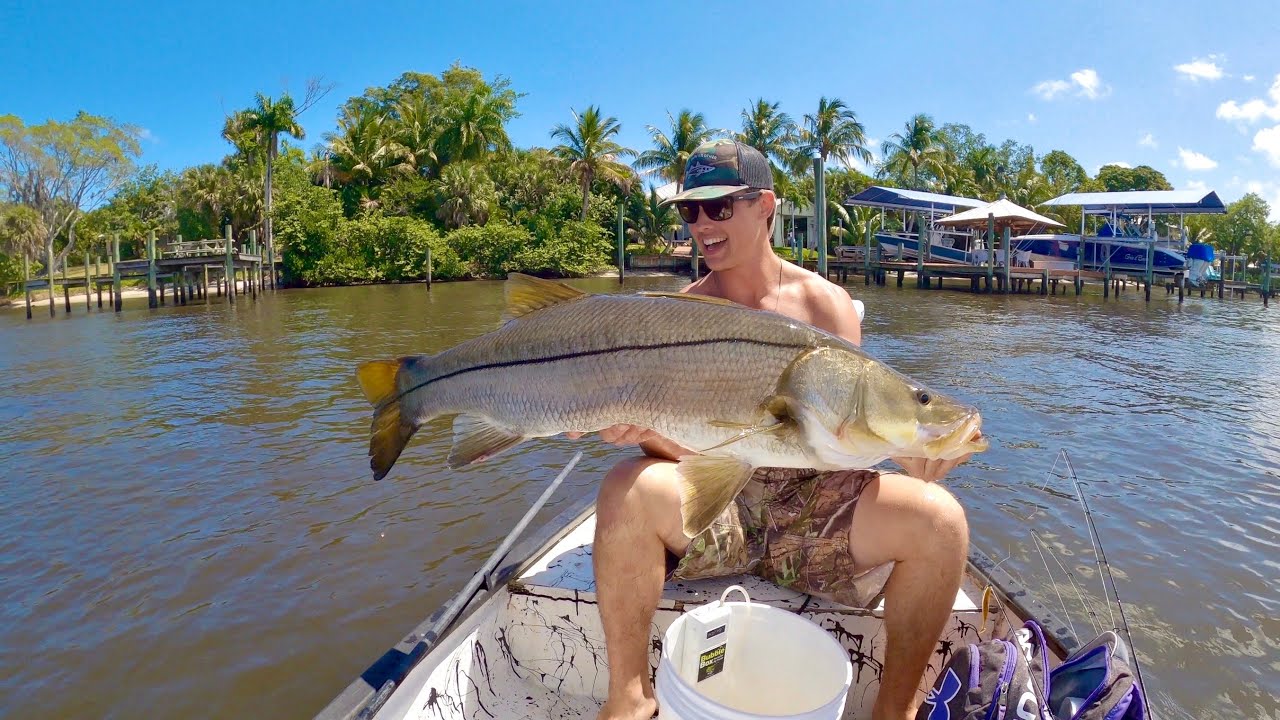 Absolute GIANT Snook | FL Inshore Fishing - YouTube