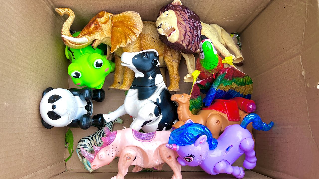 menemukan harta karun burung sapi gajah badak singa panda onta kuda ...