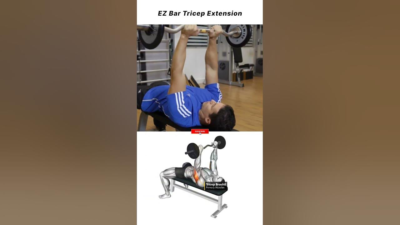 Ez Bar Tricep Extension Muscles Worked And Correct Technique Youtube