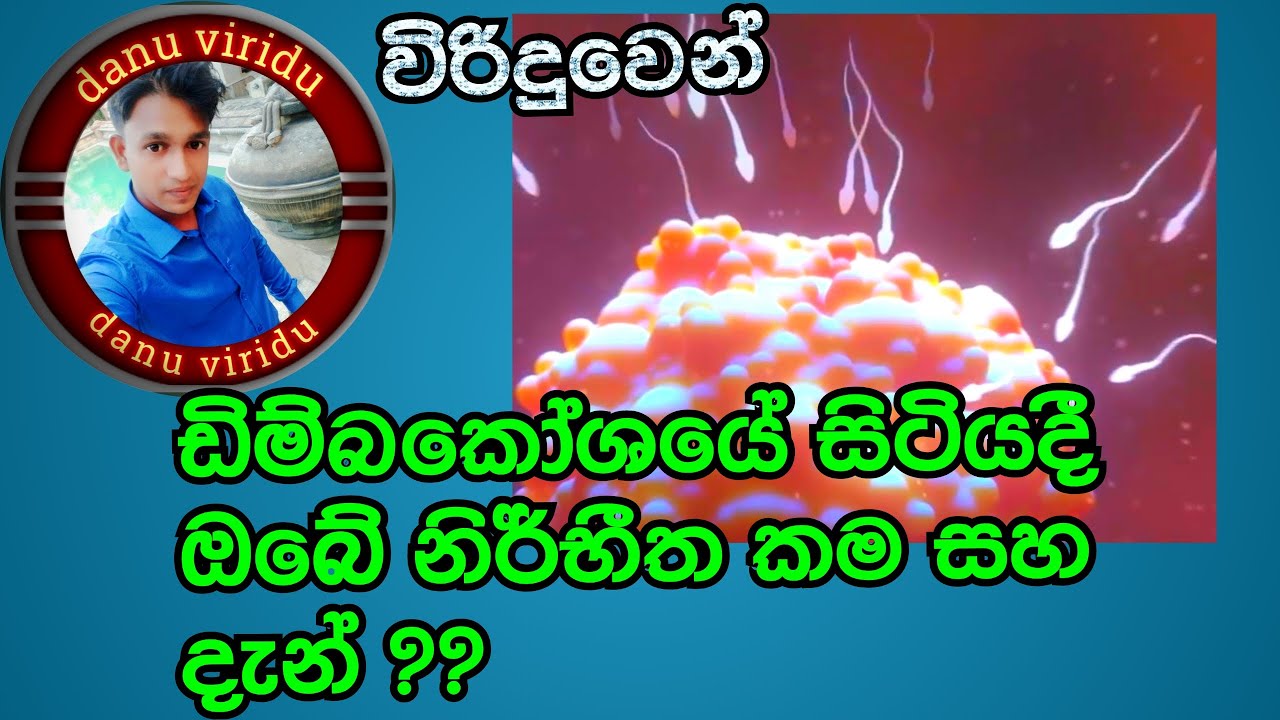 සුක්‍රානු ඩිම්බයේ දී ගන්නා වීරිය ඔබ ලඟ දැන් කෝ ?Danu viridu 2022 new ...