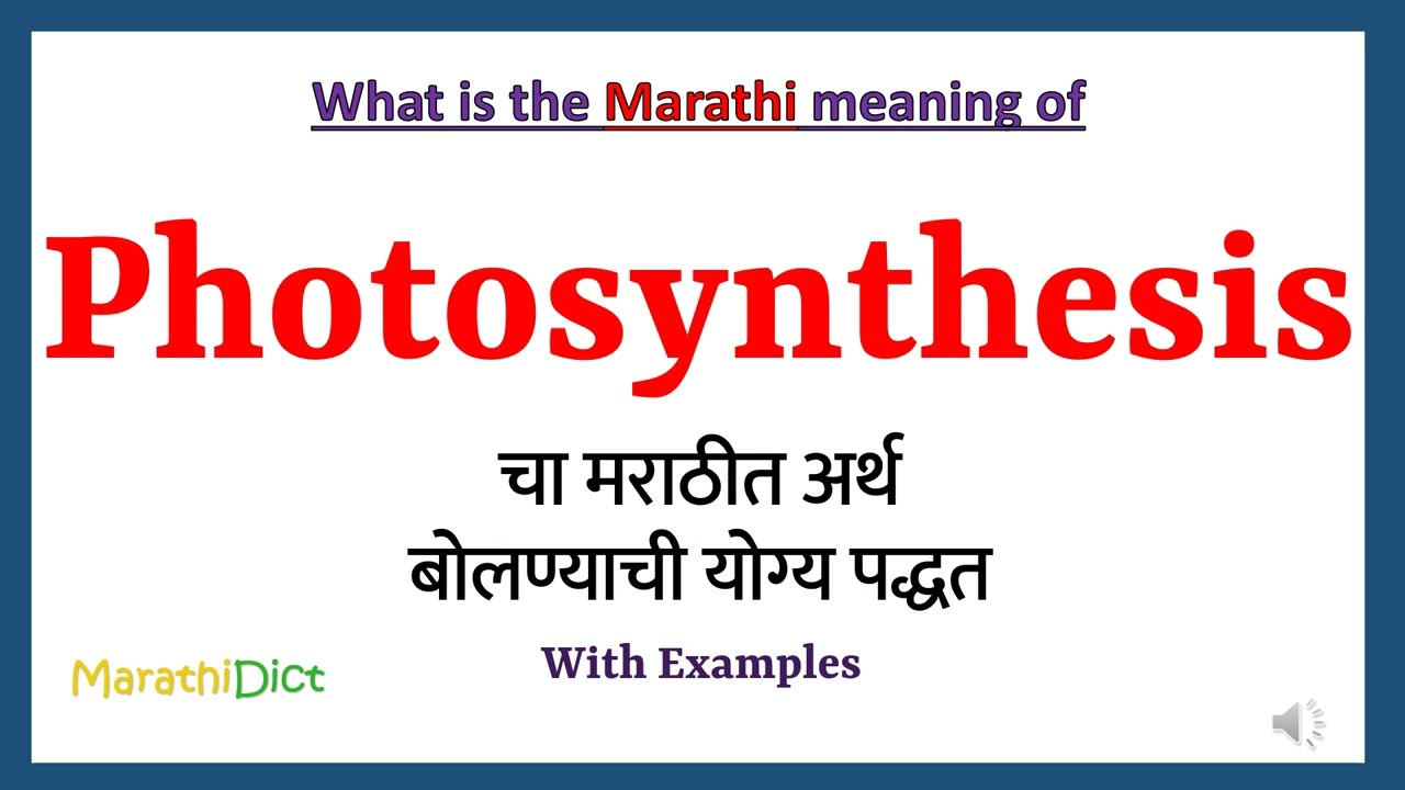 Photosynthesis Meaning In Marathi Photosynthesis Photosynthesis Meaning In Marathi Photosynthesis