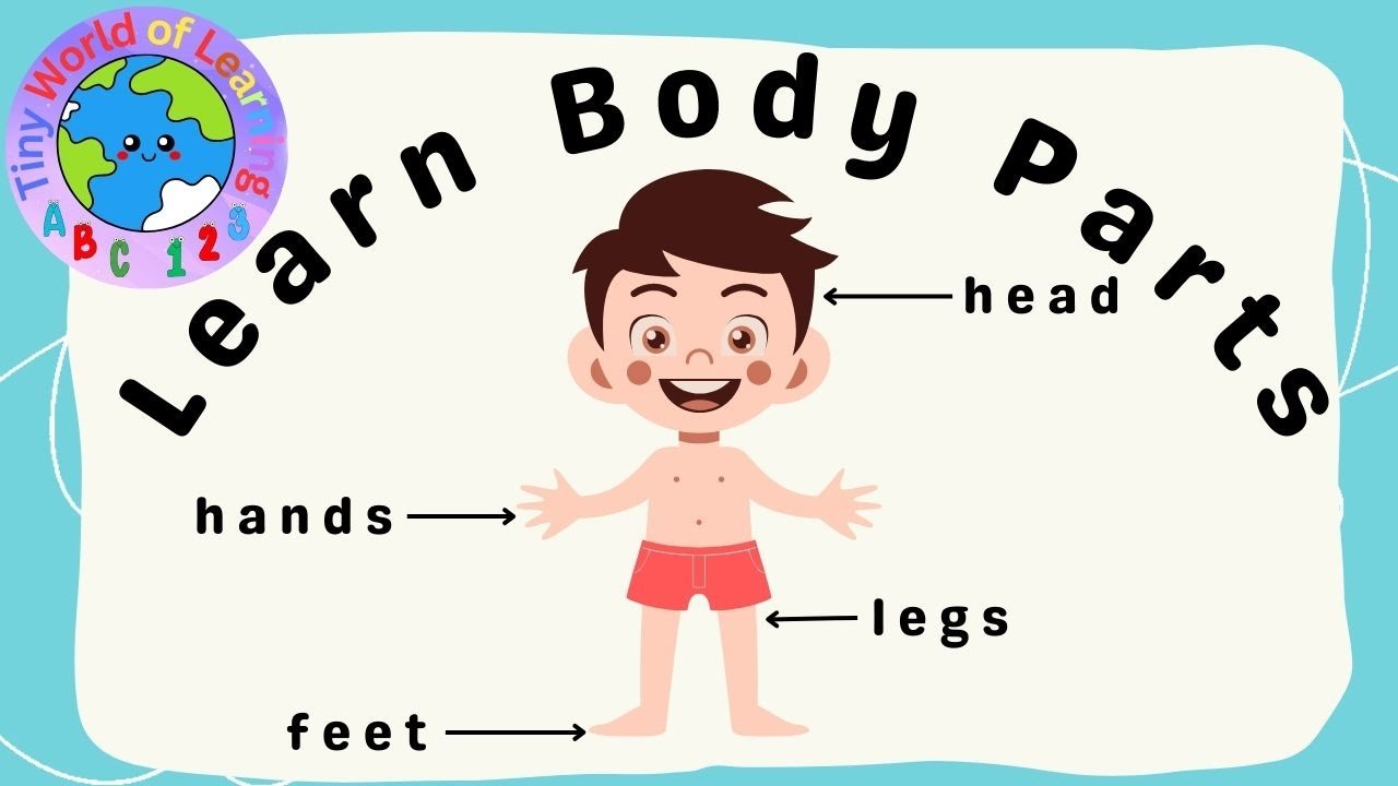 Learn Body Parts For Kids - Body Parts Song For Kids & Toddlers - Body ...