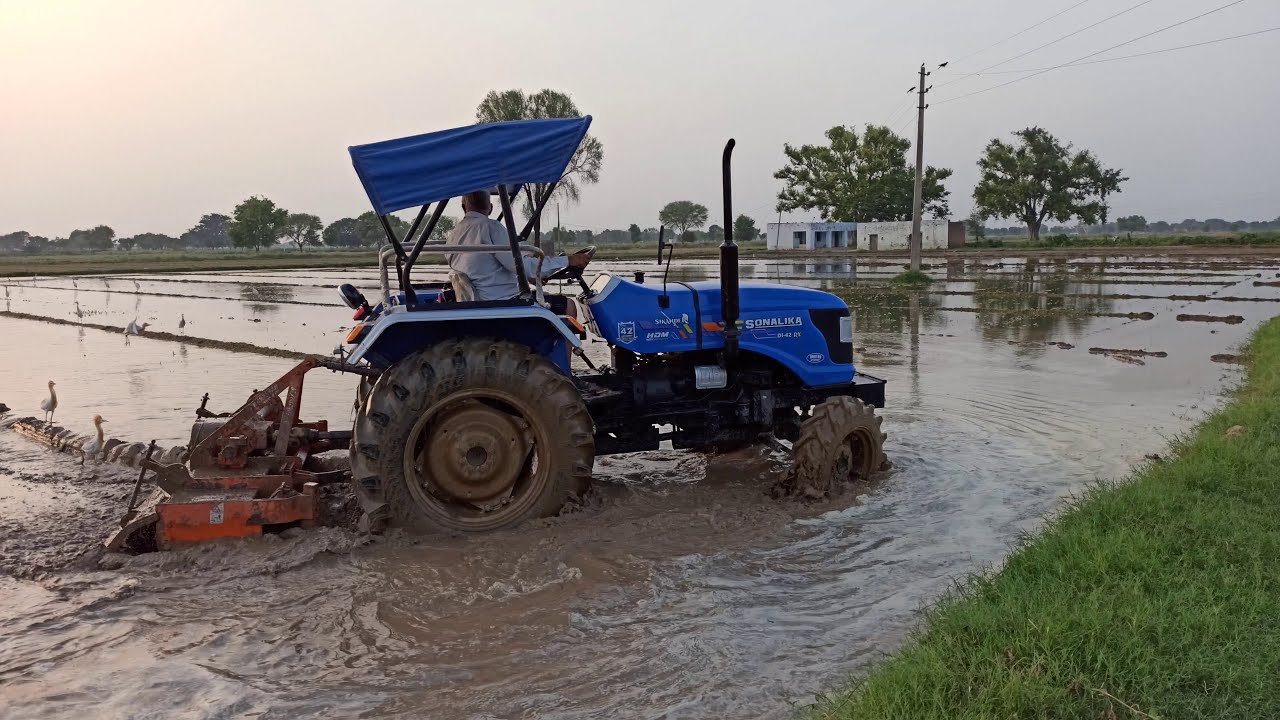 SONALIKA RX 42 4X4 IN WATER PUDDLING RICE FIELD - YouTube