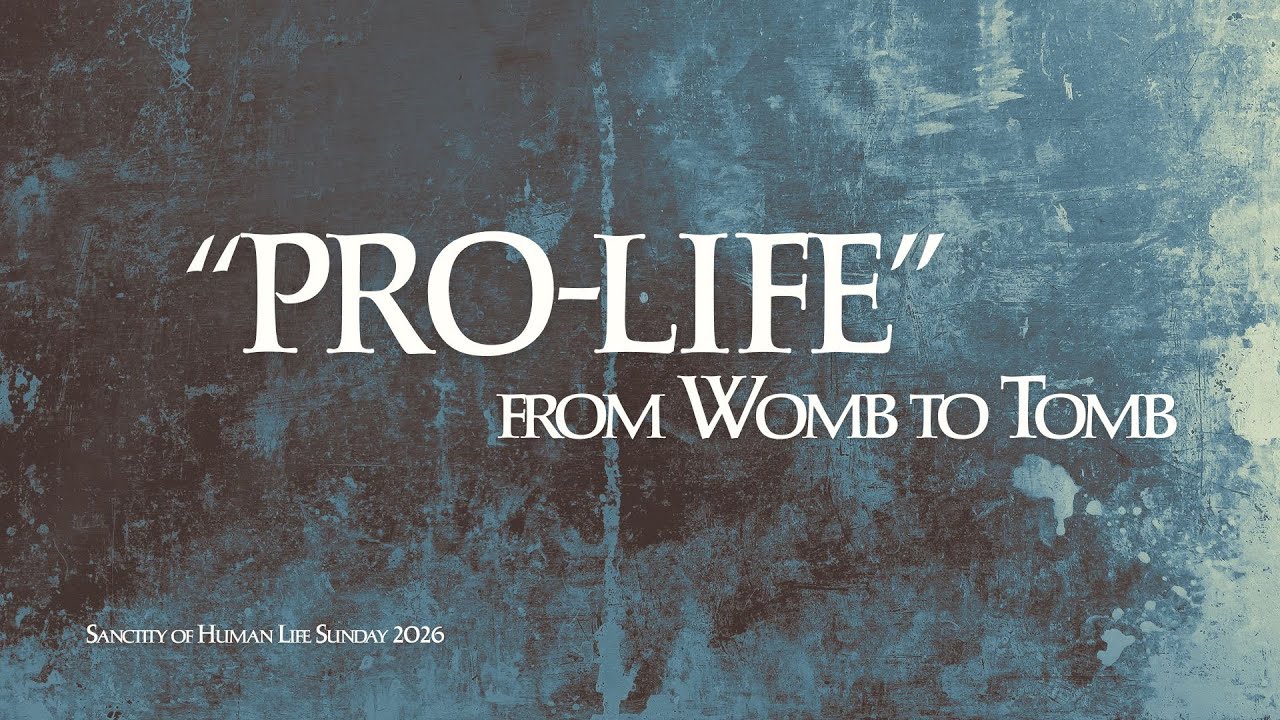 "Pro-Life" from Womb to Tomb - YouTube