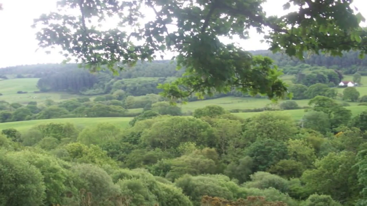 Delius: Piano Concerto - Beecham -Betty Humby piano - YouTube
