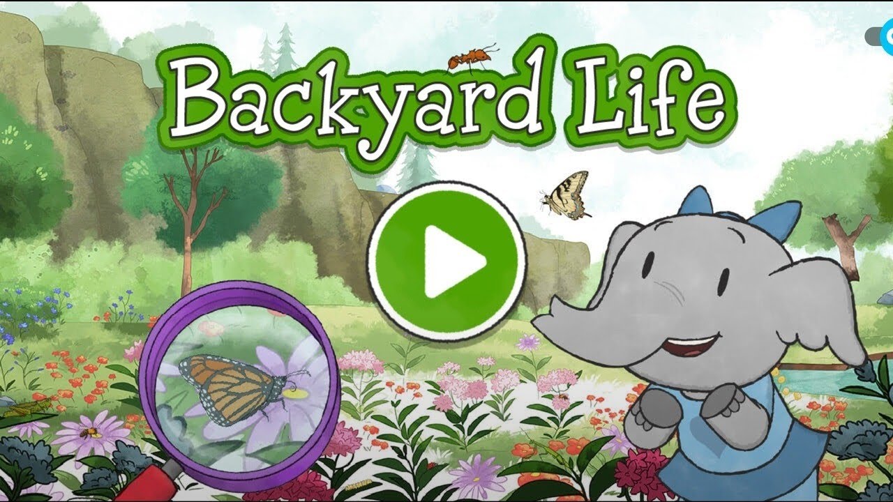 Elinor Wonders Why: BACKYARD LIFE | Fun PBS Kids Game for Ages 8 and ...