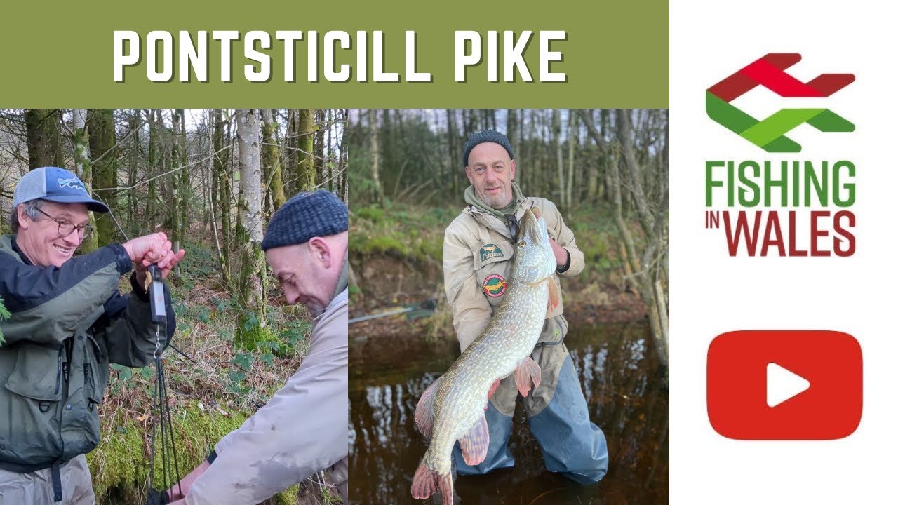 Pontsticill Pike - Predator deadbait fishing in the Brecon Beacons Wales - YouTube