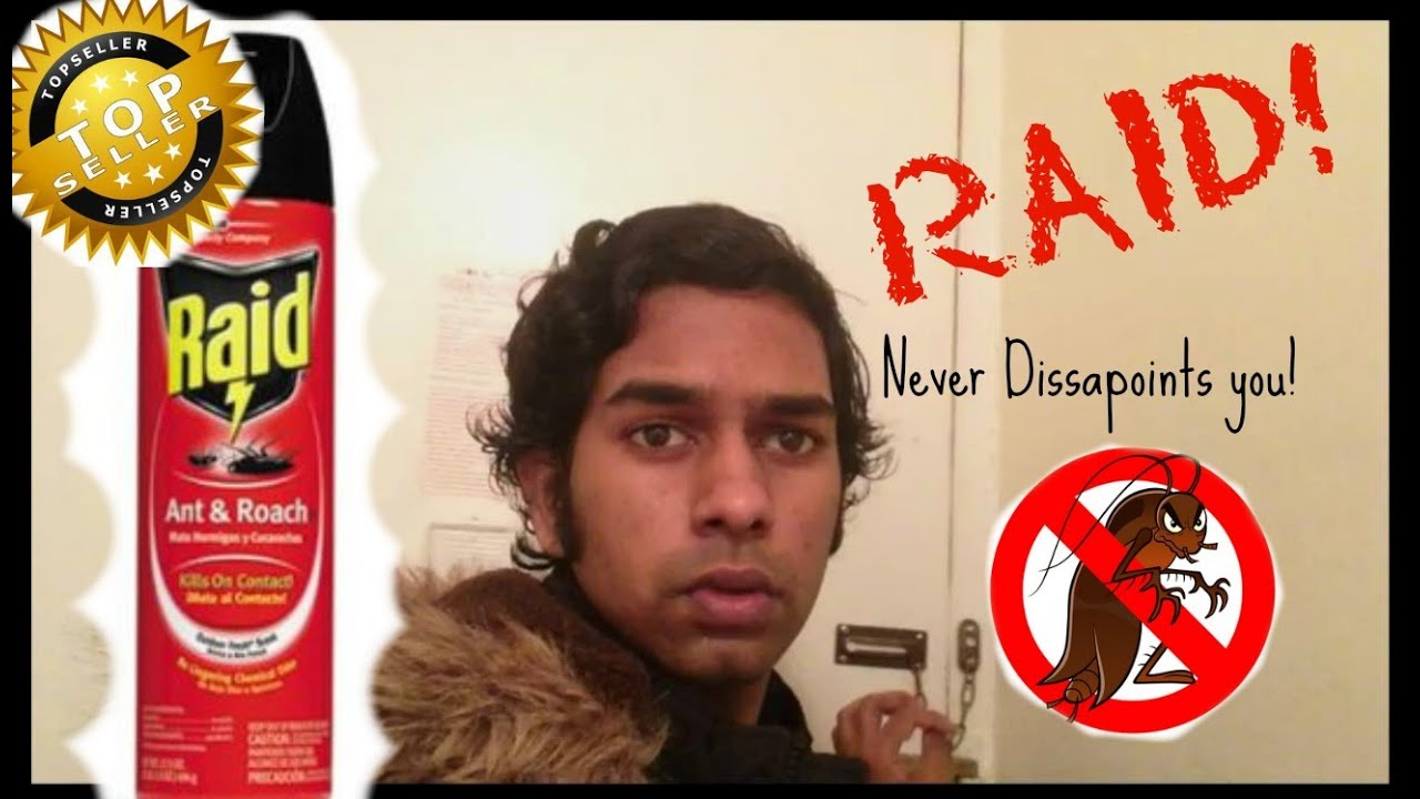 Raid Promotion ad - YouTube