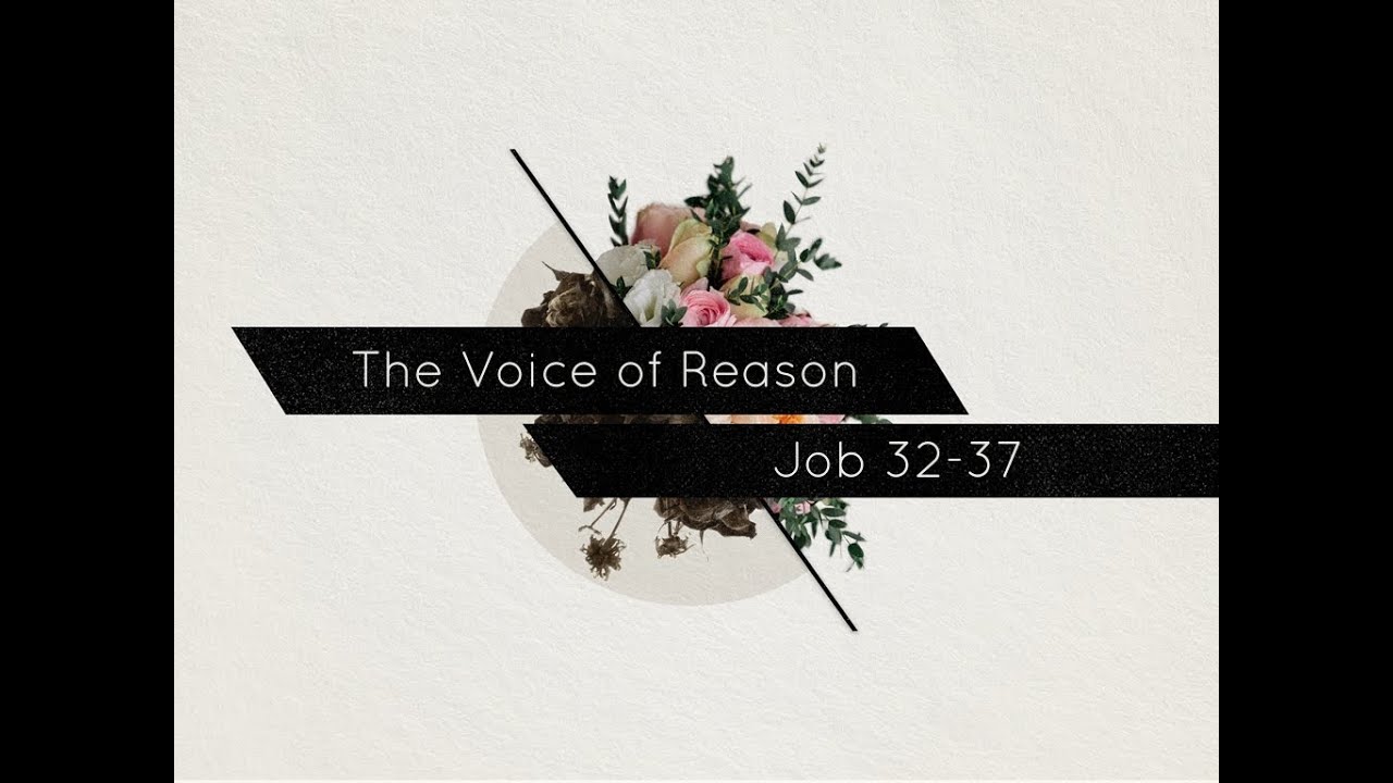 THE VOICE OF REASON - YouTube