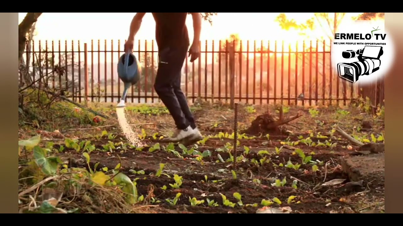 ONE HOME ONE GARDEN 2024 - YouTube