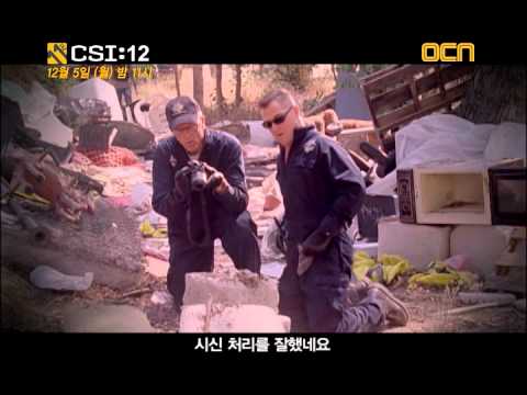 12/5 (월) 밤 11시 CSI 시즌12 3,4화