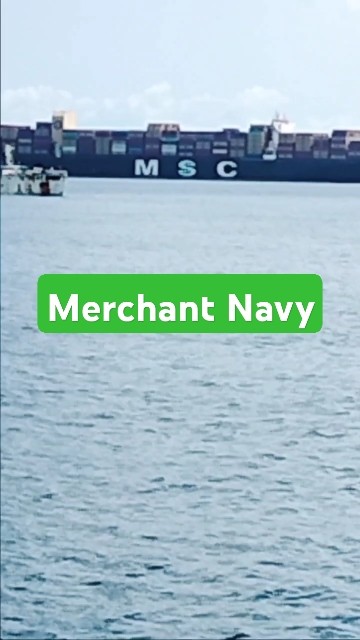 MSC ship Big cha-cha 🤩 - YouTube