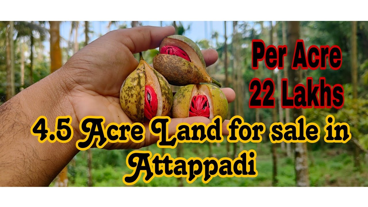 4.5 Acre Land for sale in Attappadi - YouTube