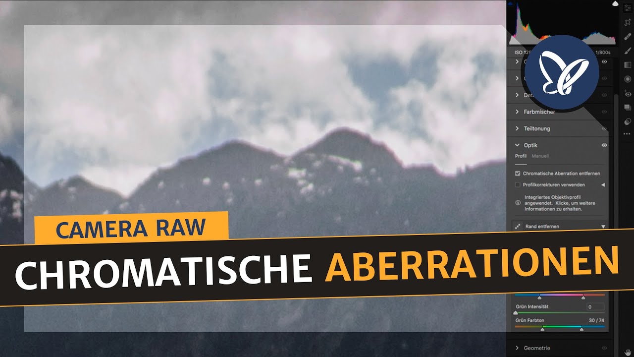 Camera Raw-Tutorial: Chromatische Aberrationen - YouTube