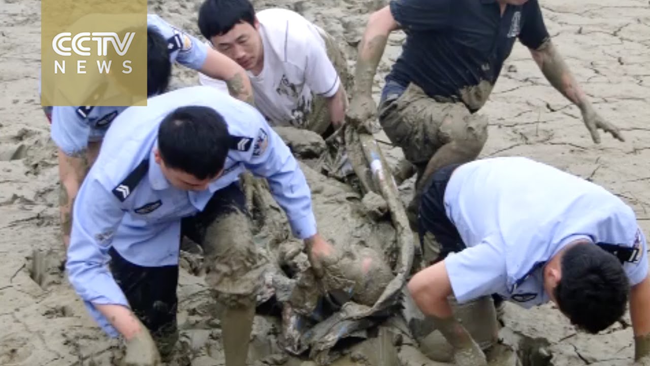 Stuck in the mud: Old man rescued from riverbed - YouTube