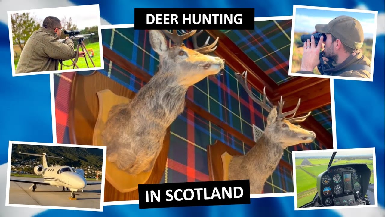#106 Deer Hunt in Scotland 🏴󠁧󠁢󠁳󠁣󠁴󠁿 - YouTube