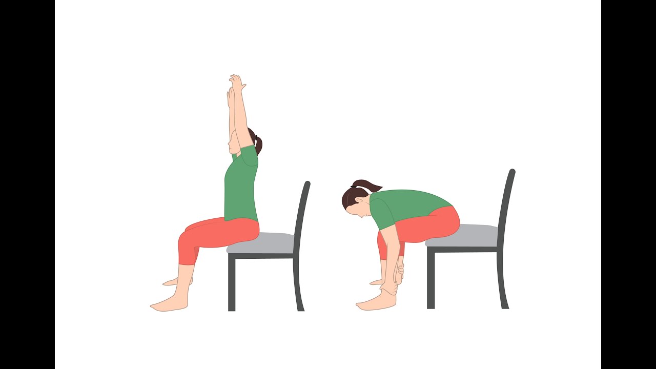 Seated Forward Fold - 10 Minute Chair Yoga eBook - YouTube
