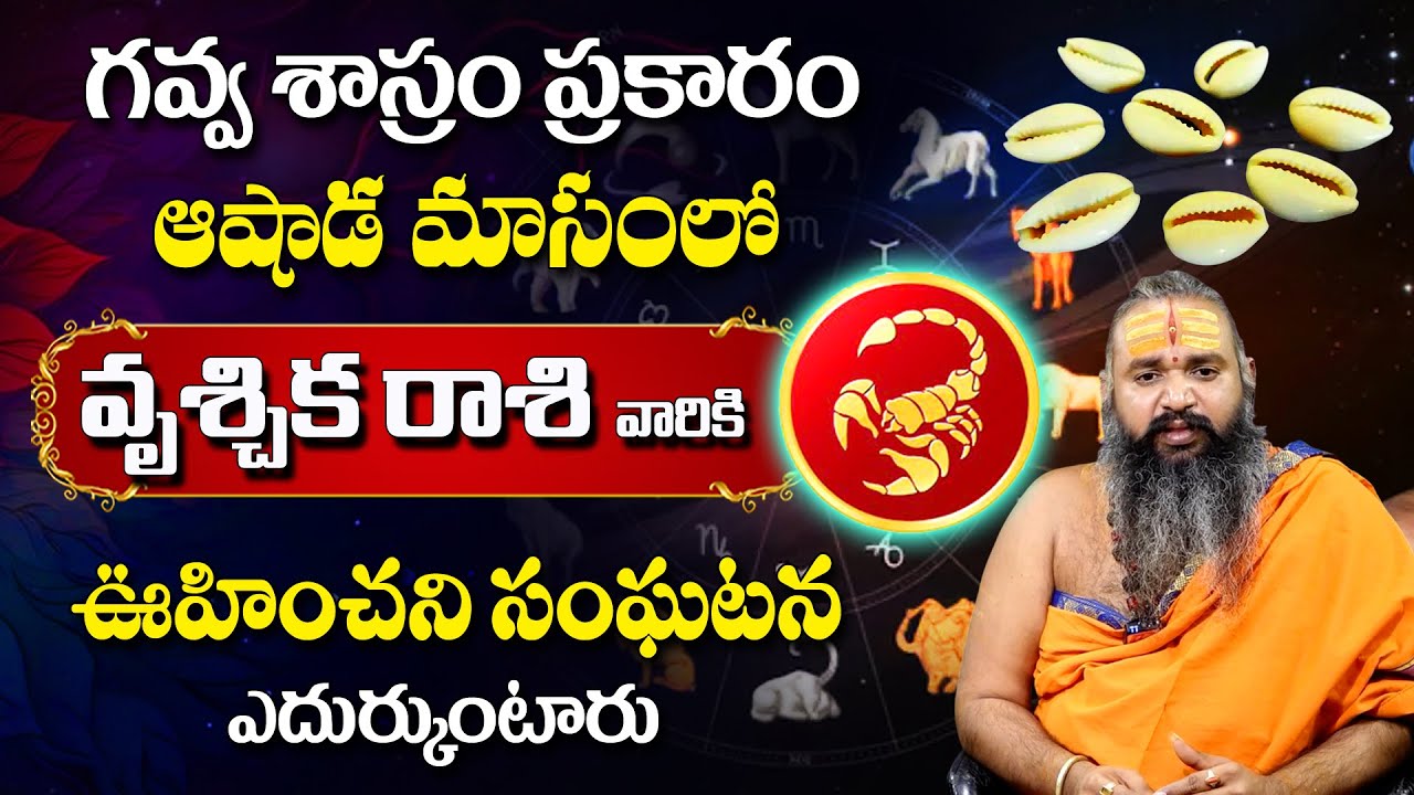 గవ్వ శాస్రం ప్రకారం జూలై రాశి ఫలాలు | Vrushik Rashi Phalalu 2025 || Sri ...