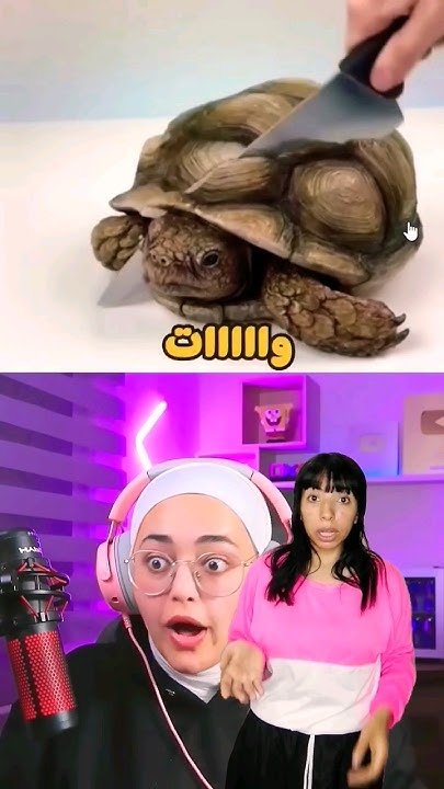 كيك🍰 او مش كيك Youtube