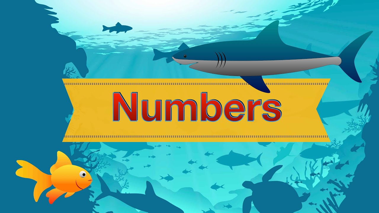 Numbers : lets learn numbers with Sharks & Fishes : Hannotoon~Fun way ...