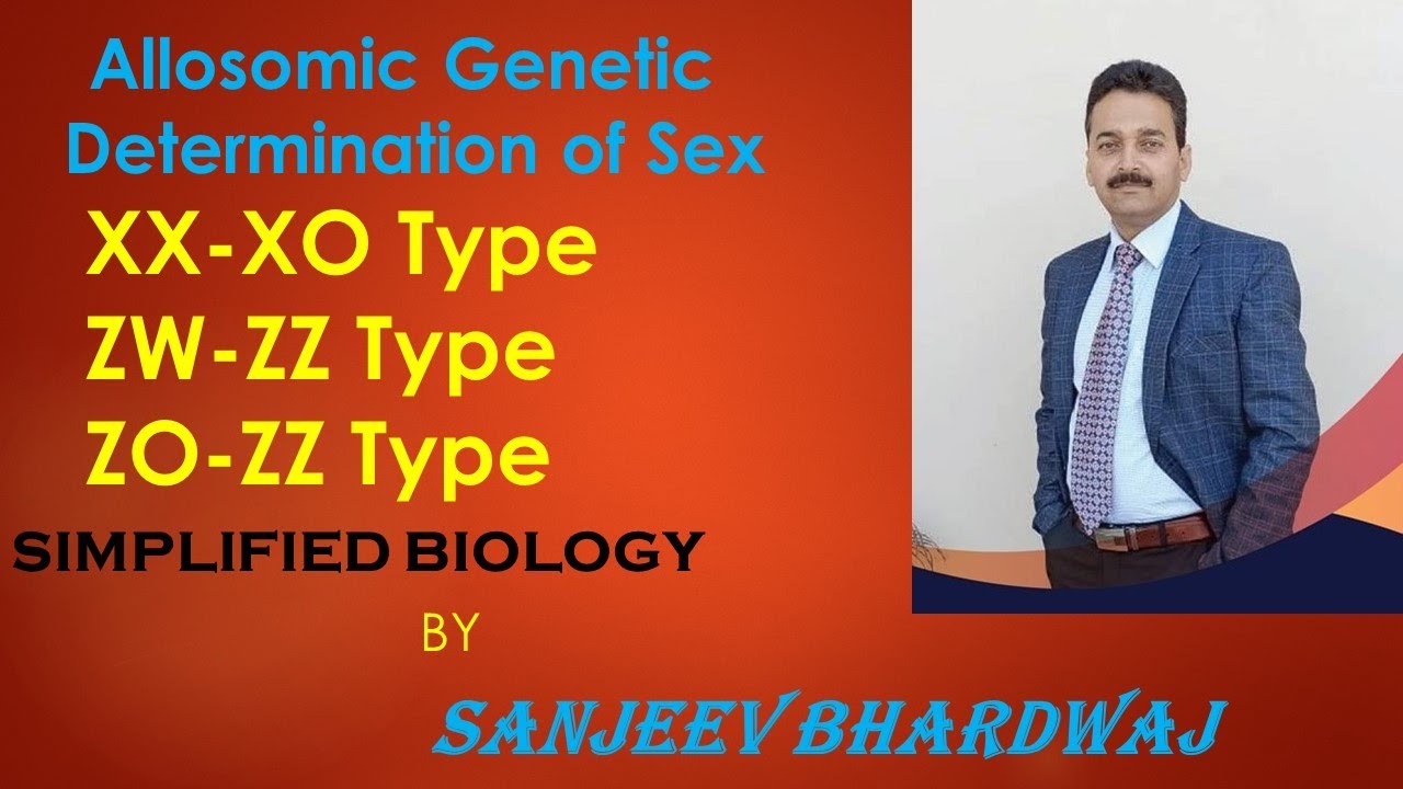 Allosomic Genetic Determination Of Sex Xx Xo Type Zw Zz Type Zo Zz