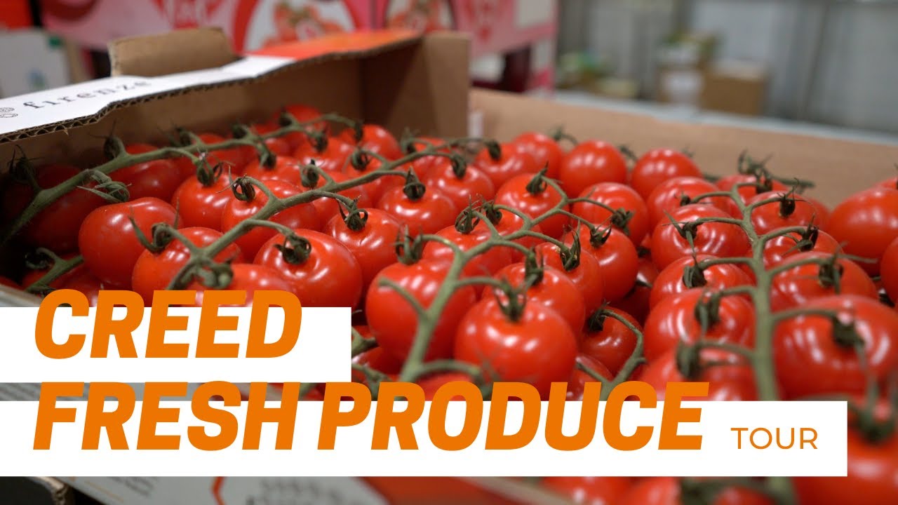 Creed in Focus | Creed Fresh Produce | Tour - YouTube