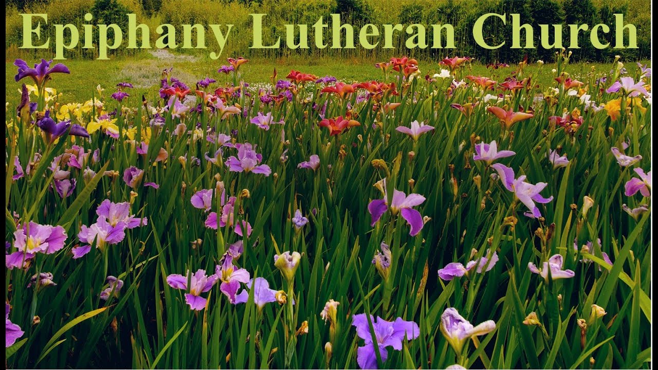 June 9, 2024 10:45am Contemporary Worship at Epiphany Lutheran Church ...