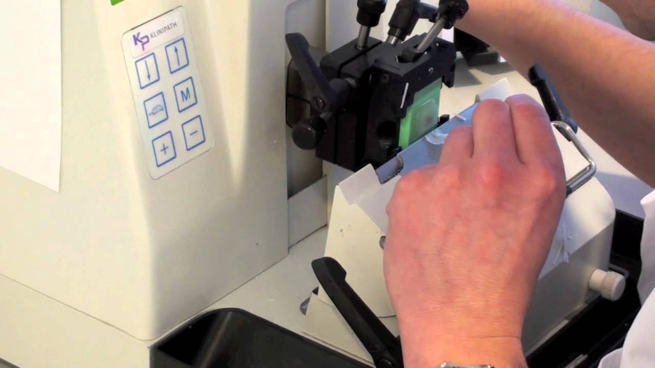 Primera Signature Slide printer - Klinipath - - YouTube