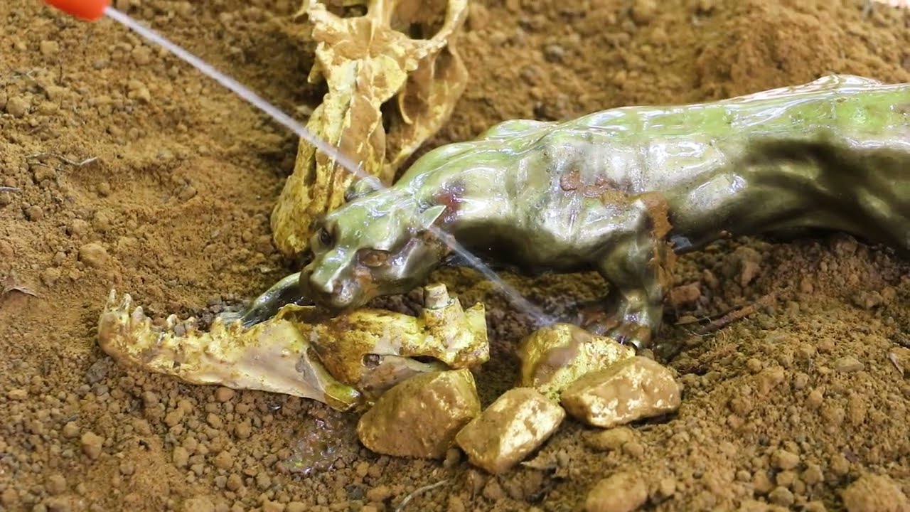 Treasure hunt with detectors: find golden bones and golden leopards ...