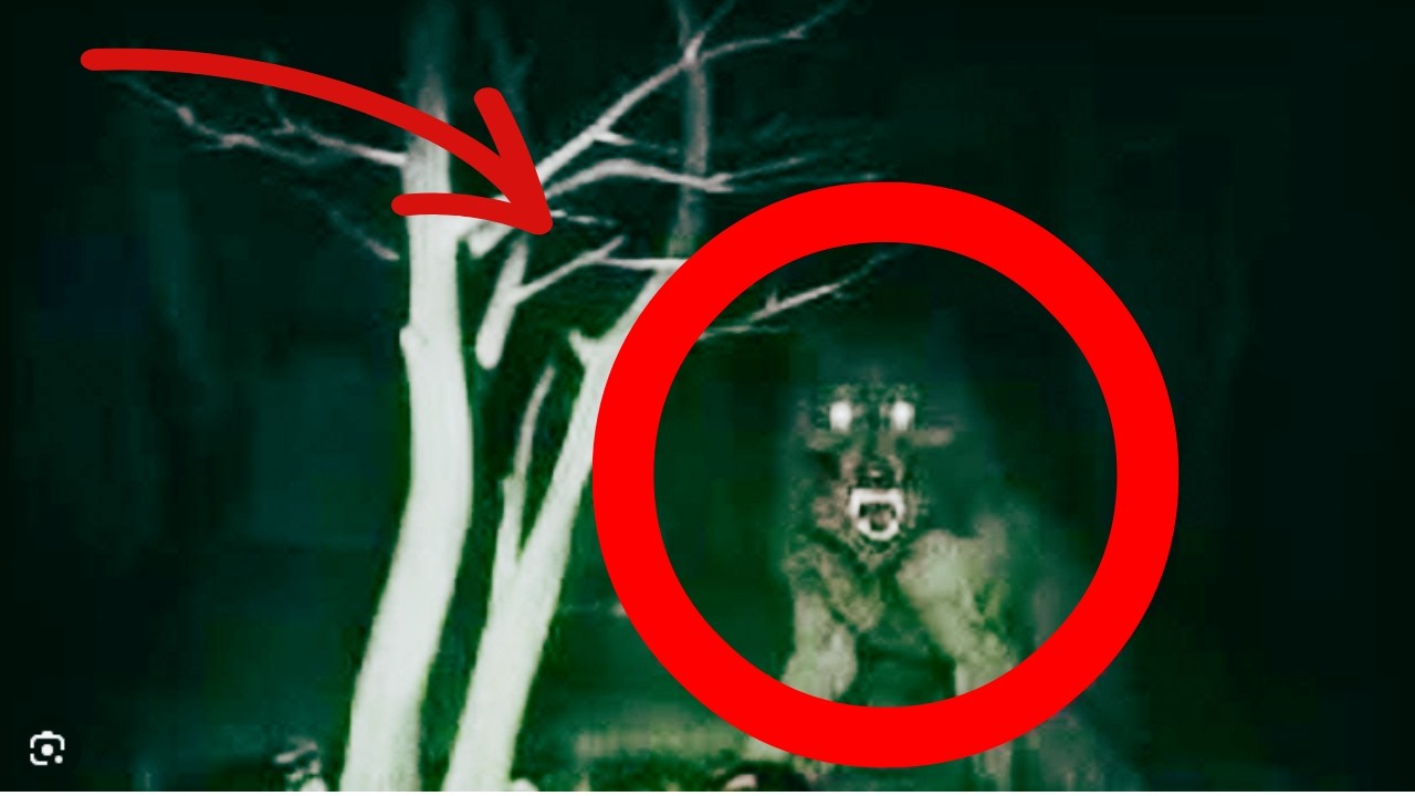 Are Wendigo & Dogman Real? These Cryptid Creature sightings are insane ...