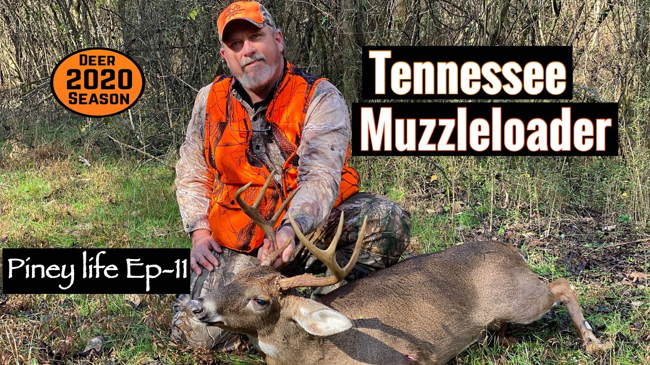 Tennessee deer hunting! 8 POINT! self filmed! Piney life EP-11 - YouTube
