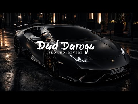 #lofi 🎧 Dad daroga slowed + reverb song ✨  #slowed + #reverb #mix 